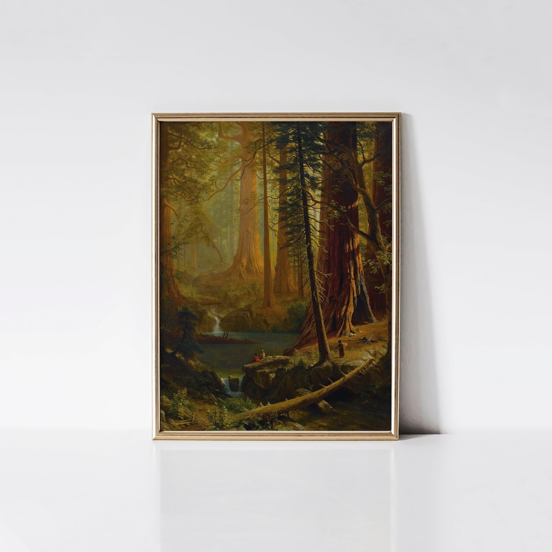 Giant Redwood Trees of California Print, Vintage American Nature ...