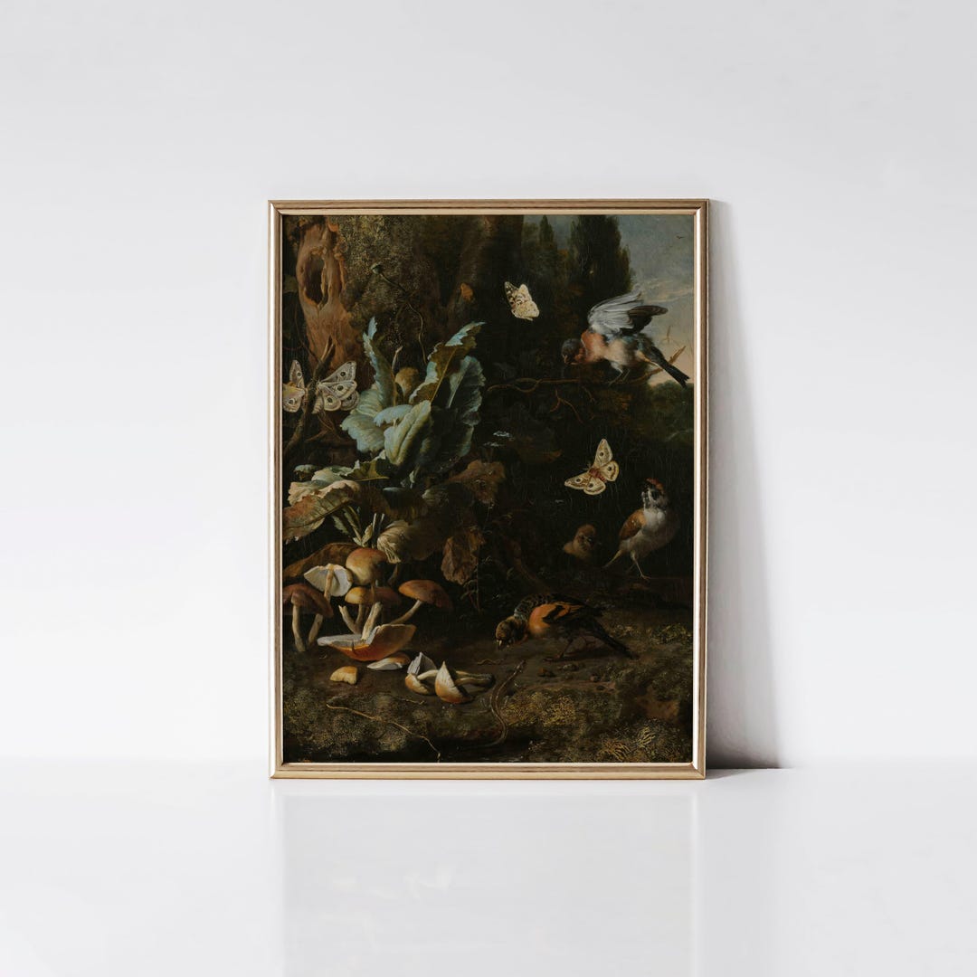 Animals and Plants 1668 by Melchior D'hondecoeter Print, Dark Academia ...