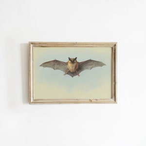 Vintage Bat Print, Gothic Vampire Wall Art, Dark Academia Decor ...