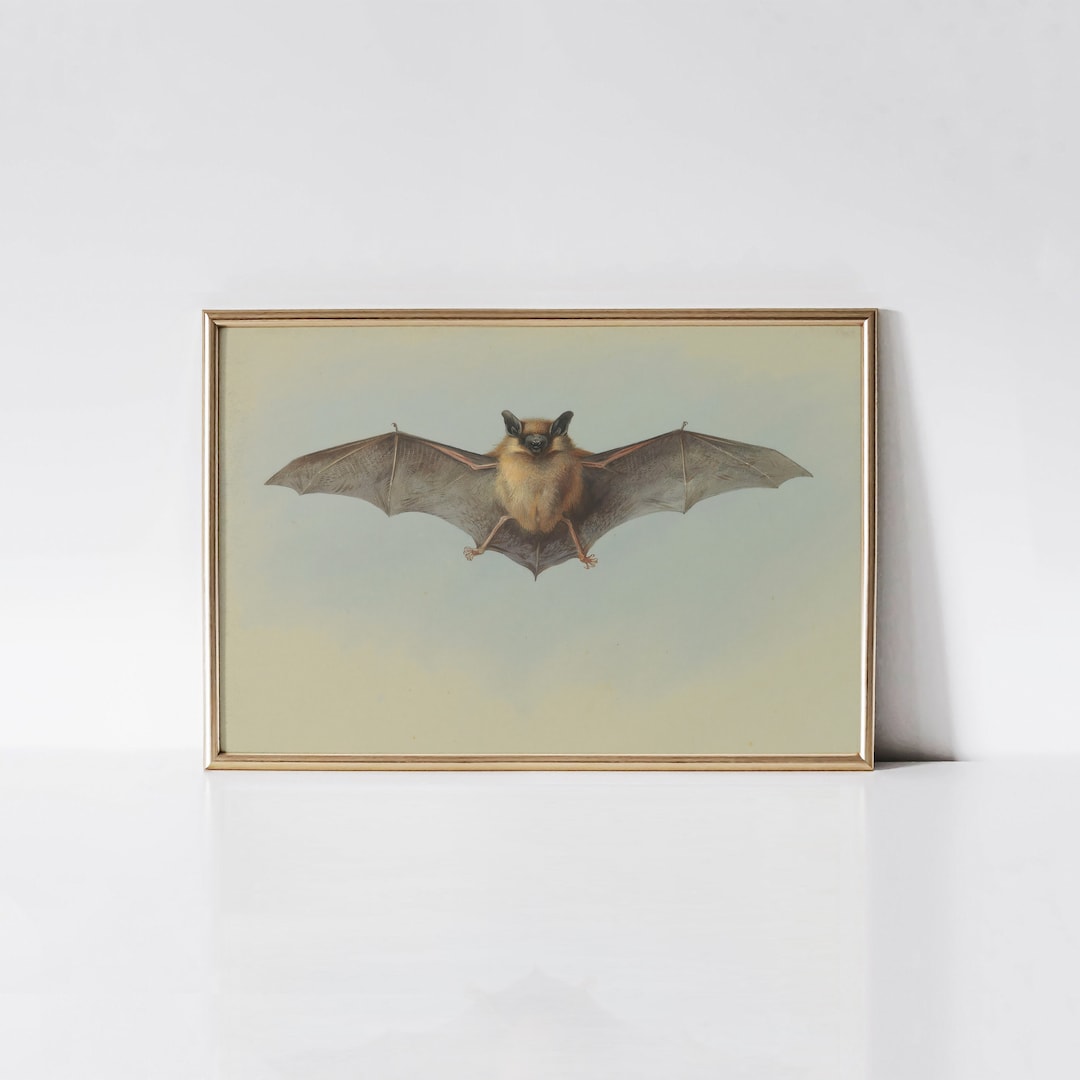 Vintage Bat Print, Gothic Vampire Wall Art, Dark Academia Decor ...