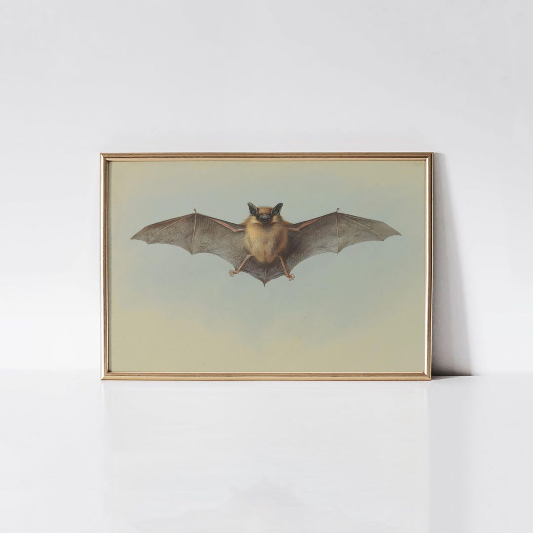 Vintage Bat Print, Gothic Vampire Wall Art, Dark Academia Decor ...