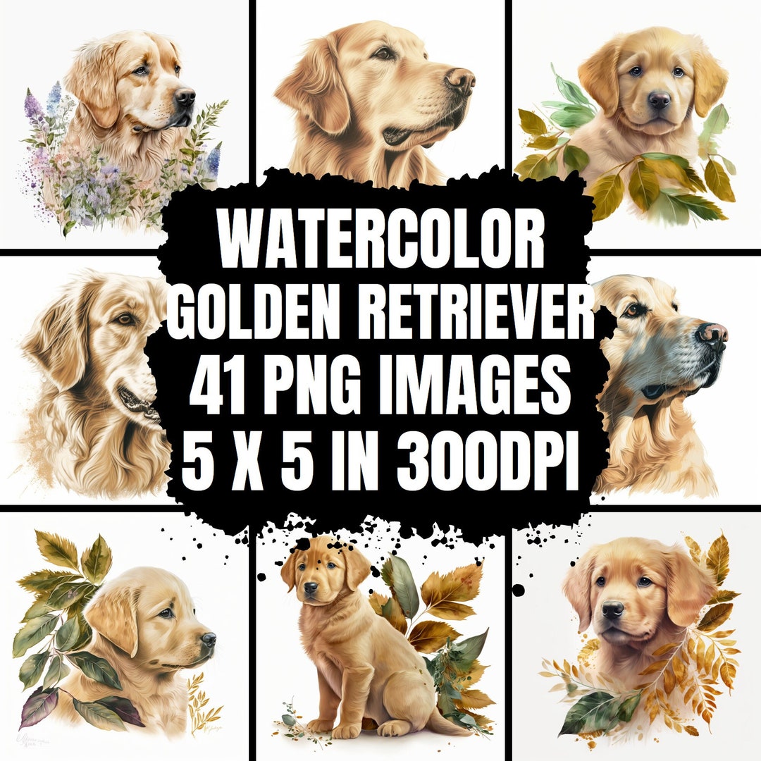 Watercolor Golden Retriever Clipart - 41 HQ PNG Images - Dogs & Puppies ...