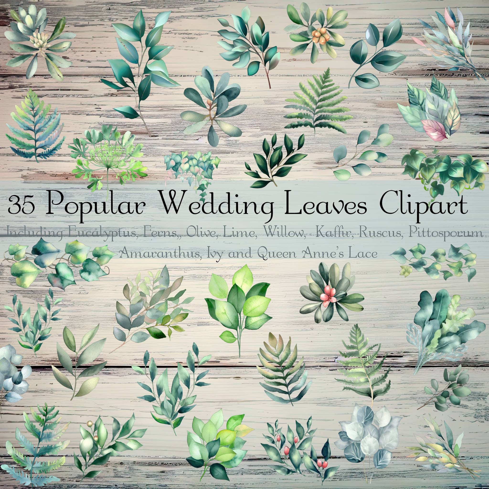 Wedding Leaves Clipart Assorted Leaves Instant Digital - Etsy