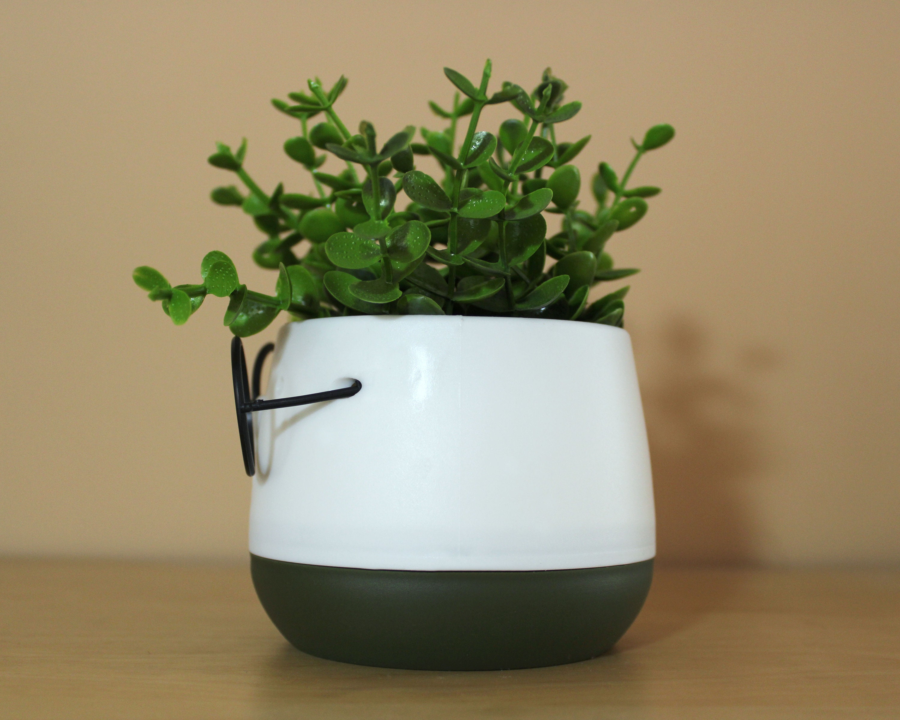 Smiling Plant With Glasses Planter for Plants Head Plant Pot for ...