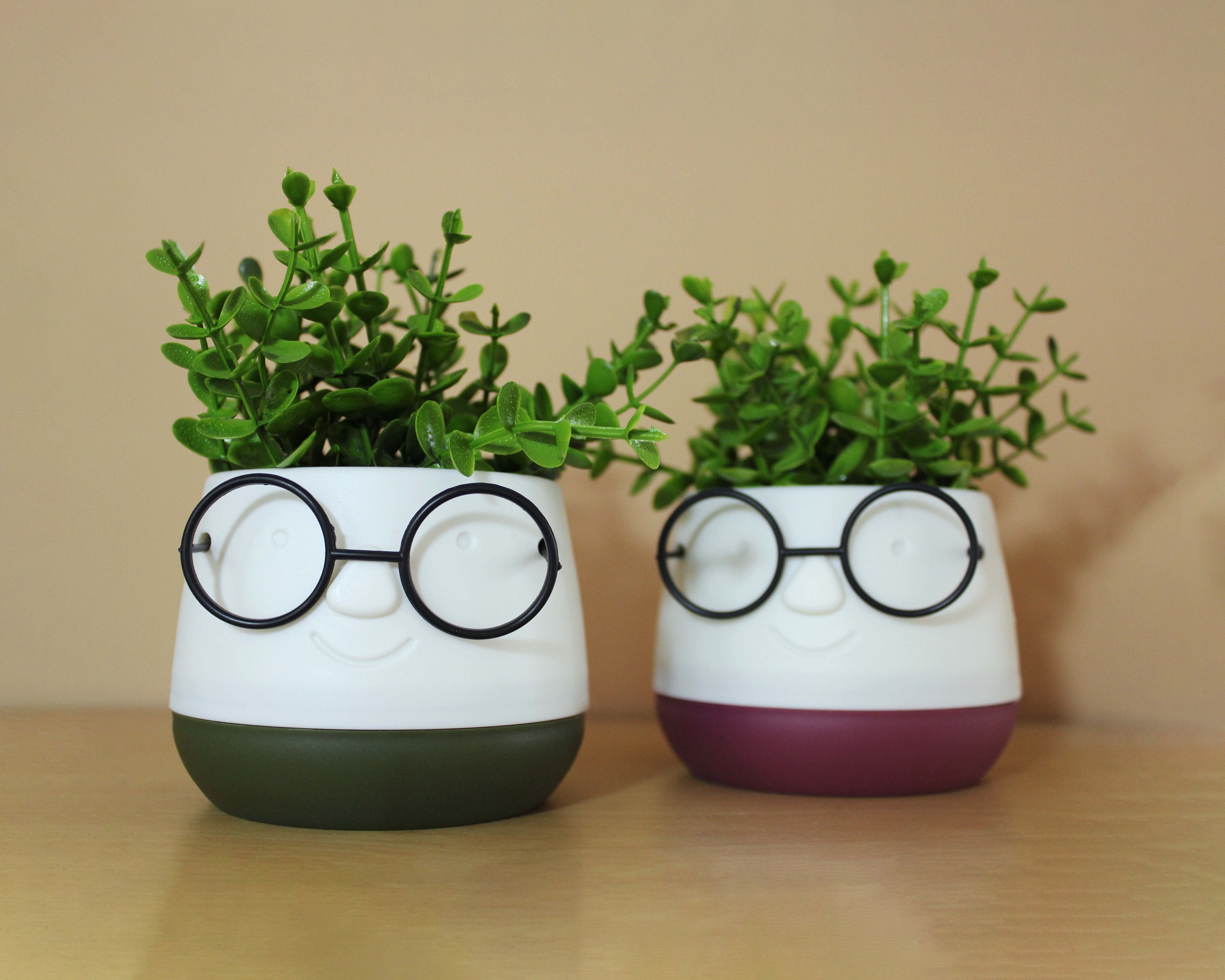 Smiling Plant With Glasses Planter for Plants Head Plant Pot for ...