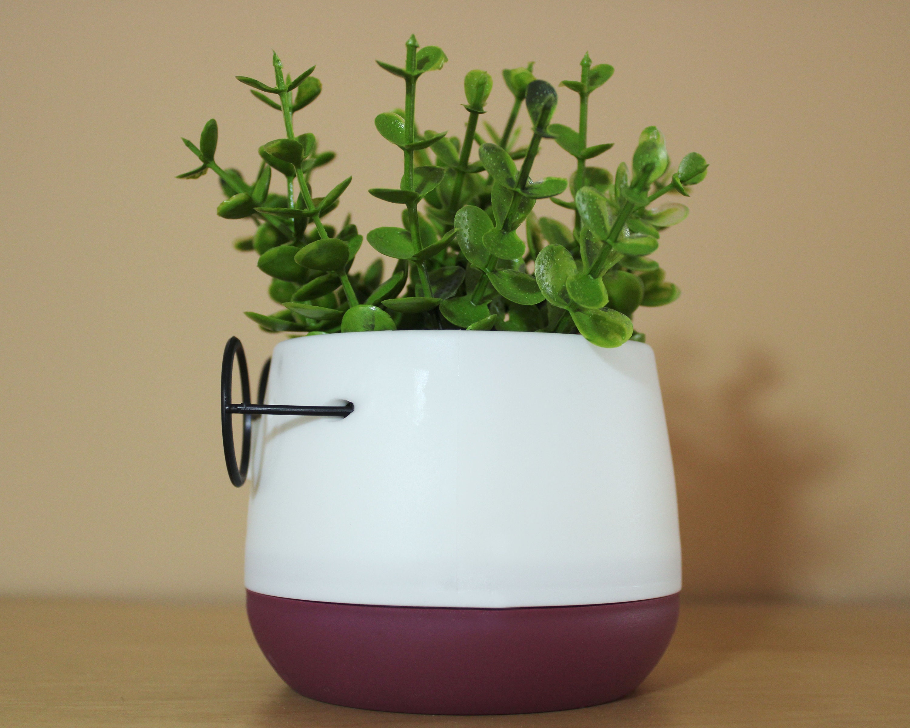 Smiling Plant With Glasses Planter for Plants Head Plant Pot for ...