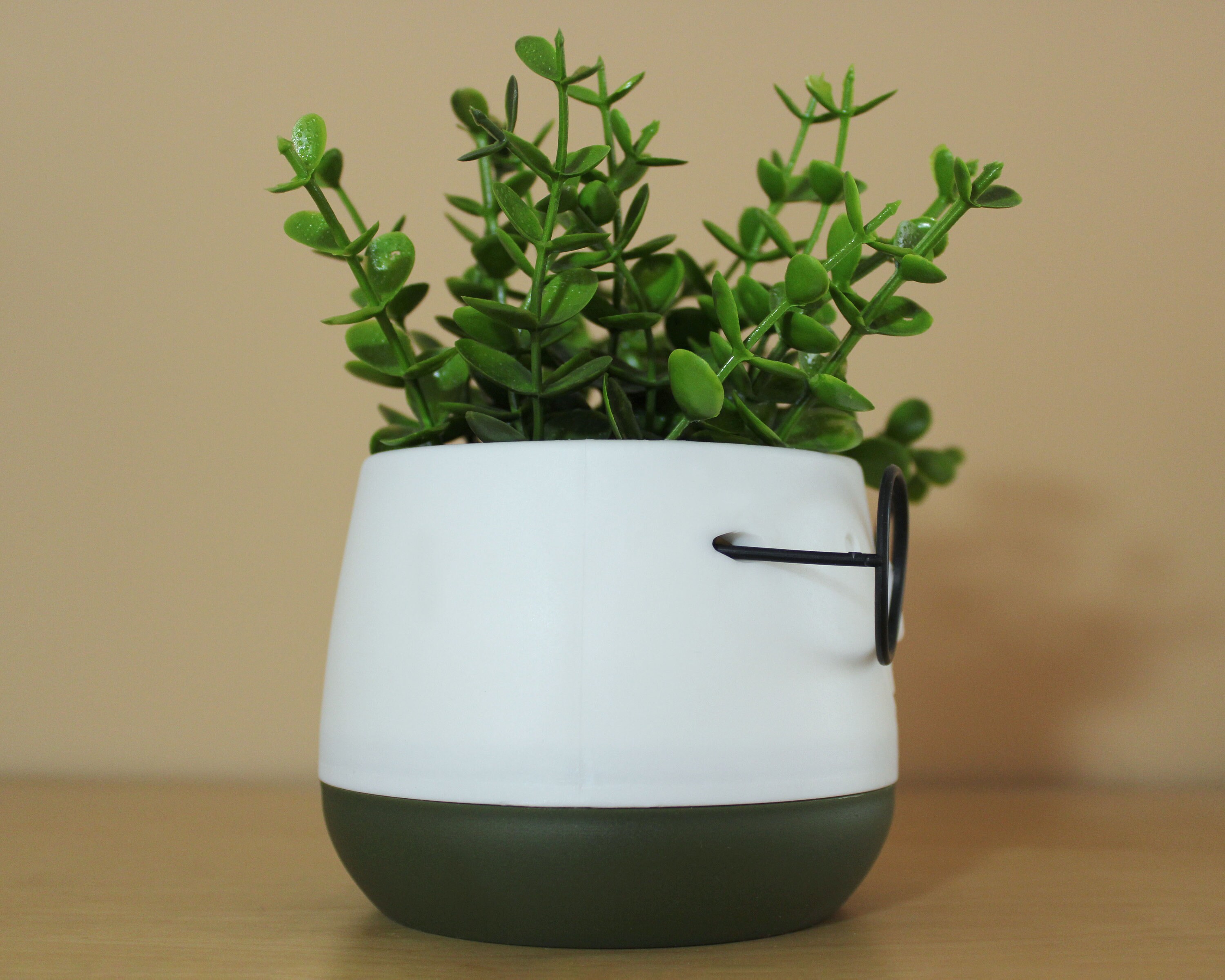 Smiling Plant With Glasses Planter for Plants Head Plant Pot for ...