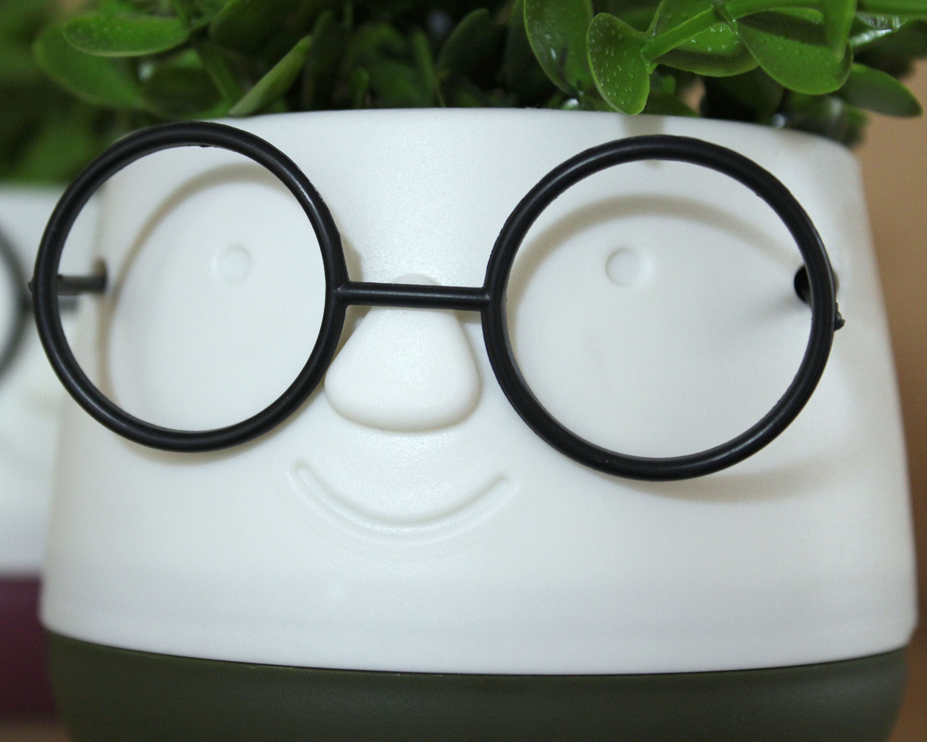 Smiling Plant With Glasses Planter for Plants Head Plant Pot for ...