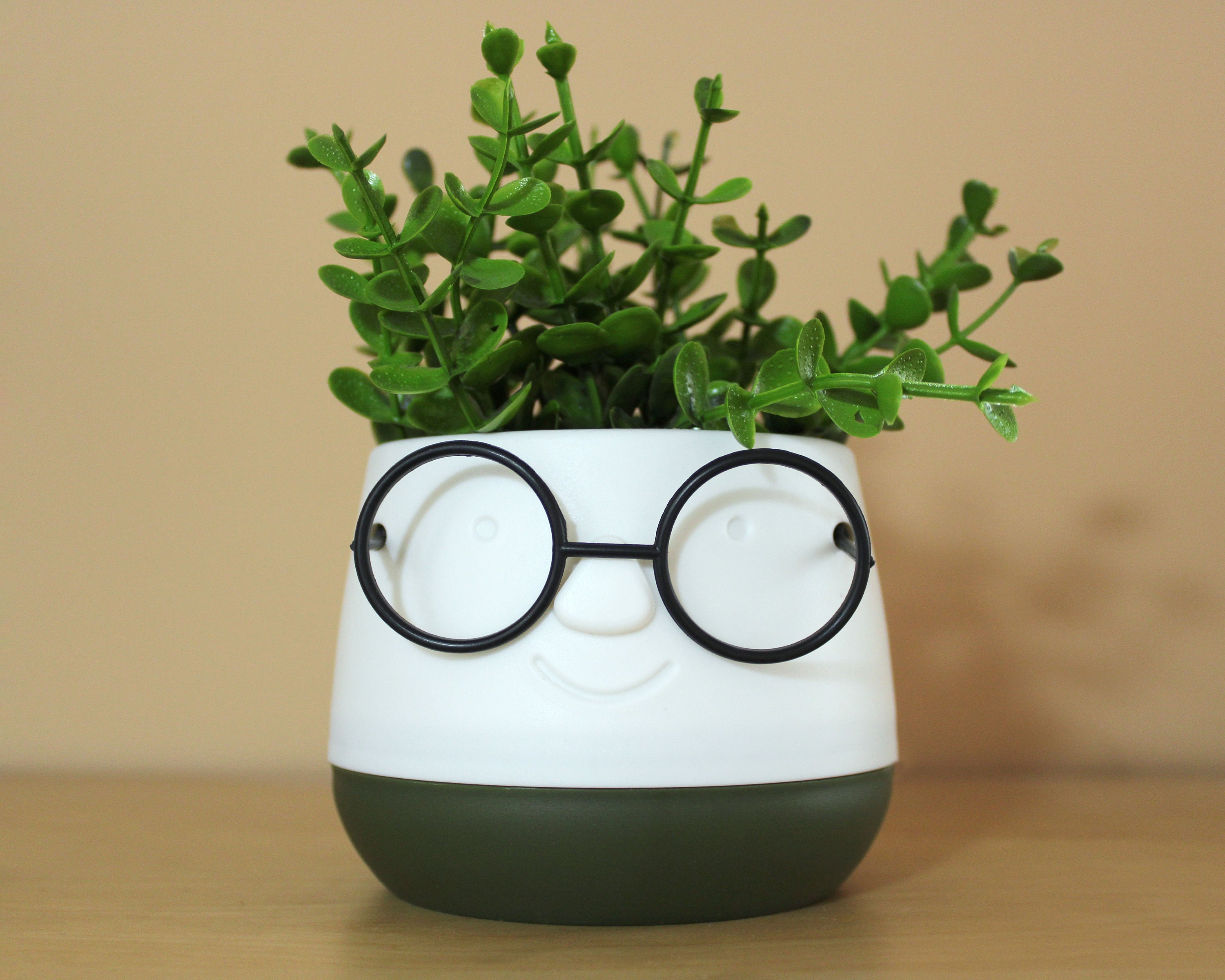 Smiling Plant With Glasses Planter for Plants Head Plant Pot for ...