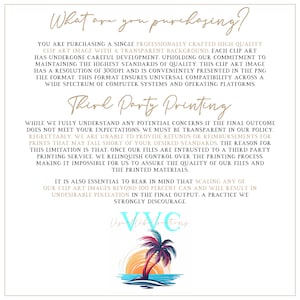 Preppy Seashell Clip Art - Transparent Background in PNG - Shells, Sea ...