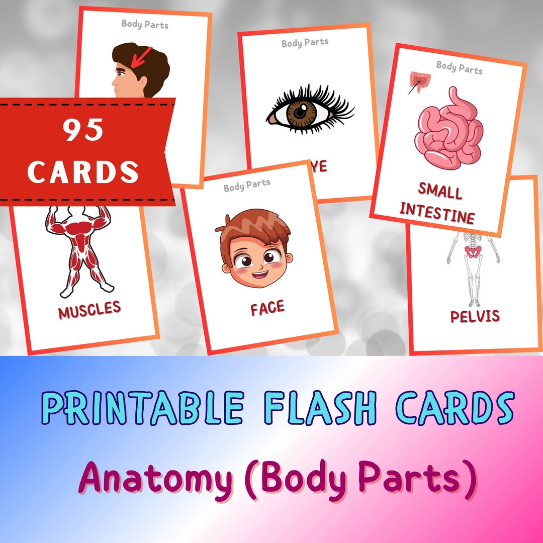 95 Anatomy (body Parts) Cards, Montessori Flash Cards, Pre-school Cards ...