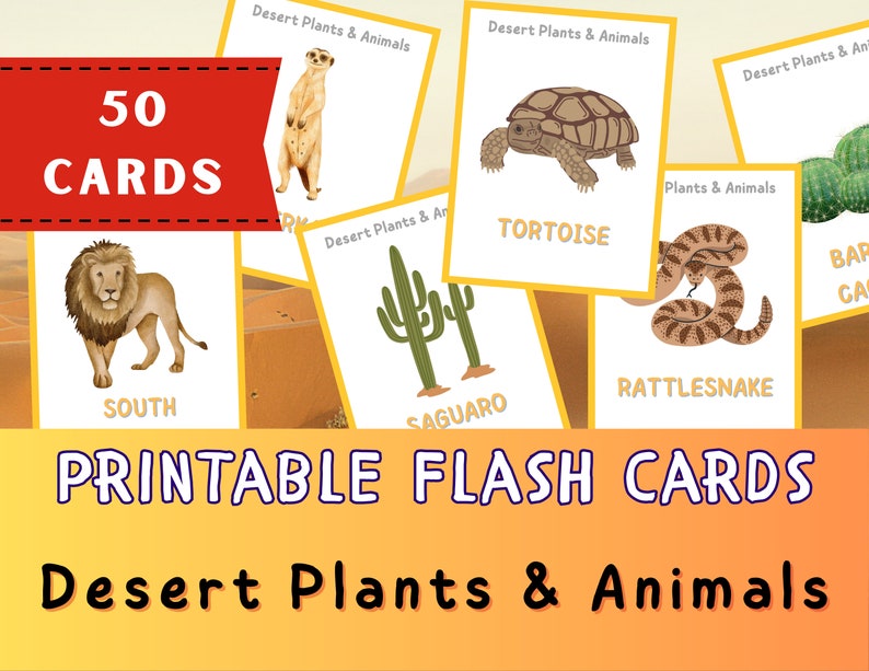 50 Desert Plants and Animals Cards, Montessori Flash Cards, Pre-school ...