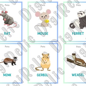 25 Pets Cards, Montessori Flash Cards, Pre-school Cards, Digirelic ...