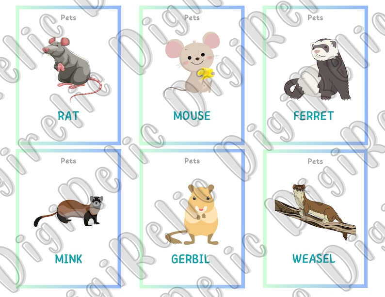 25 Pets Cards, Montessori Flash Cards, Pre-school Cards, Digirelic ...