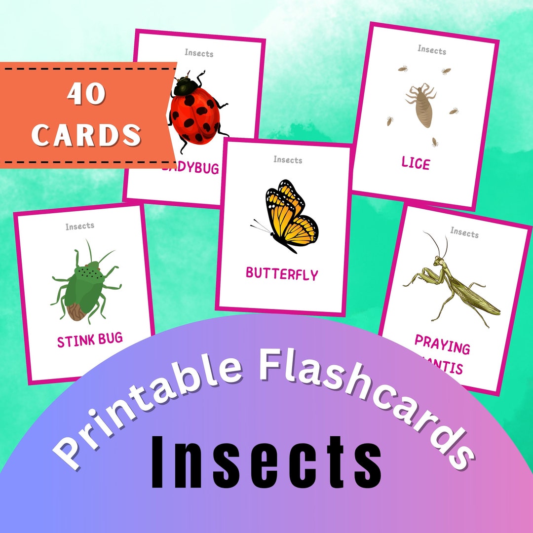 40 Insect Cards, Montessori Flash Cards, Pre-school Cards, Digirelic ...