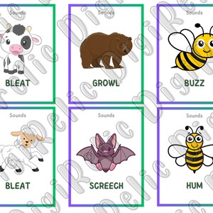 65 Animal Sound Flash Cards, Montessori Flash Cards, Pre-school Cards ...