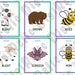 65 Animal Sound Flash Cards, Montessori Flash Cards, Pre-school Cards ...