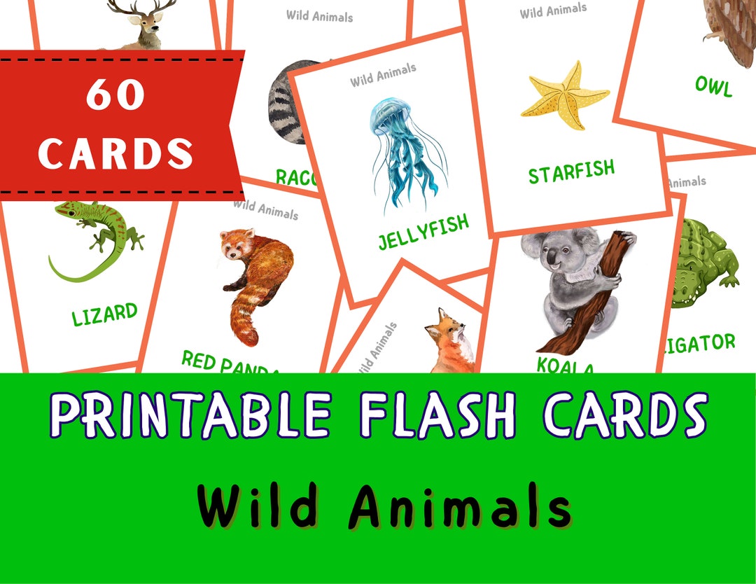 60 Wild Animals Flash Cards, Montessori Flash Cards, Antonyms, School ...