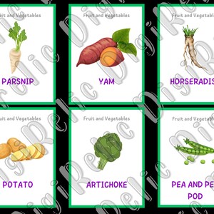 105 Fruit and Vegetables Cards, Montessori Flash Cards, Pre-school ...