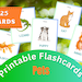 25 Pets Cards, Montessori Flash Cards, Pre-school Cards, Digirelic ...