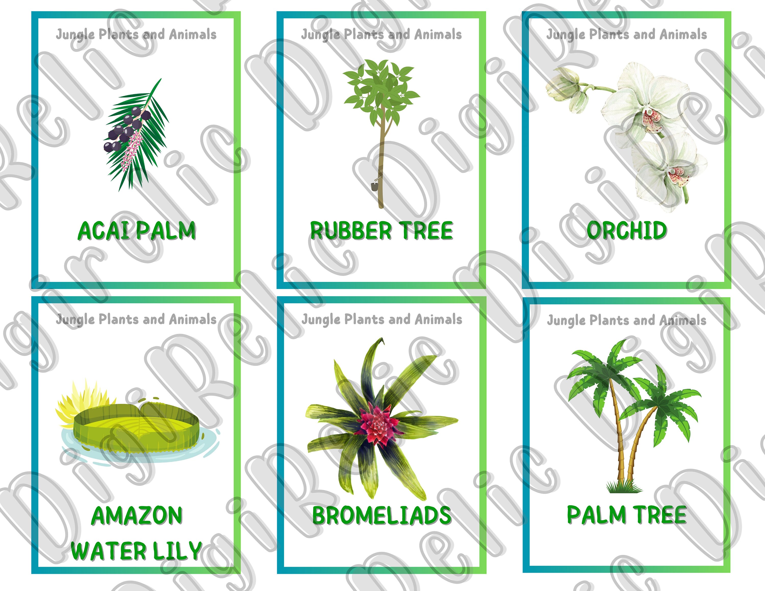 55 Jungle Plants & Animals Cards, Montessori Flash Cards, Pre-school ...