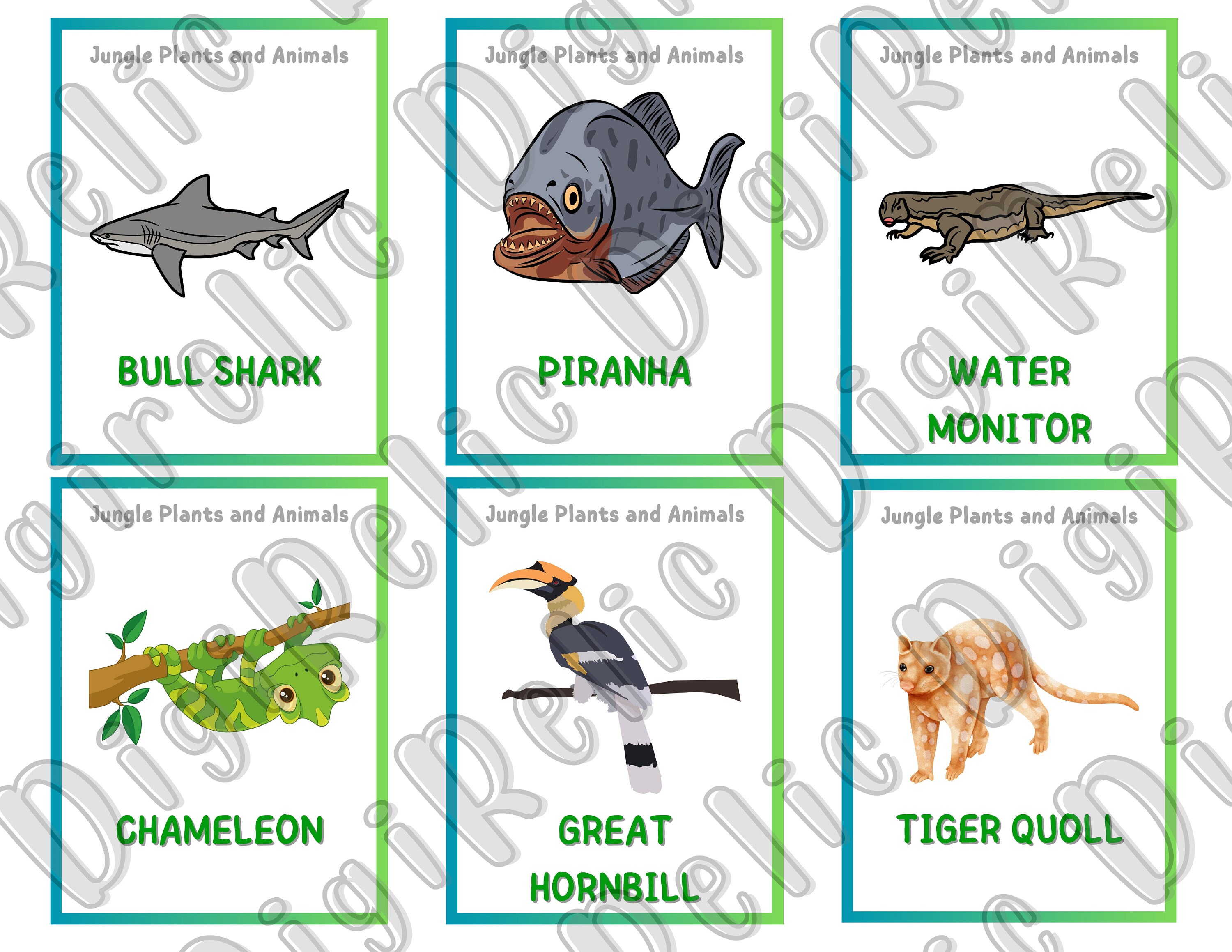 55 Jungle Plants & Animals Cards, Montessori Flash Cards, Pre-school ...