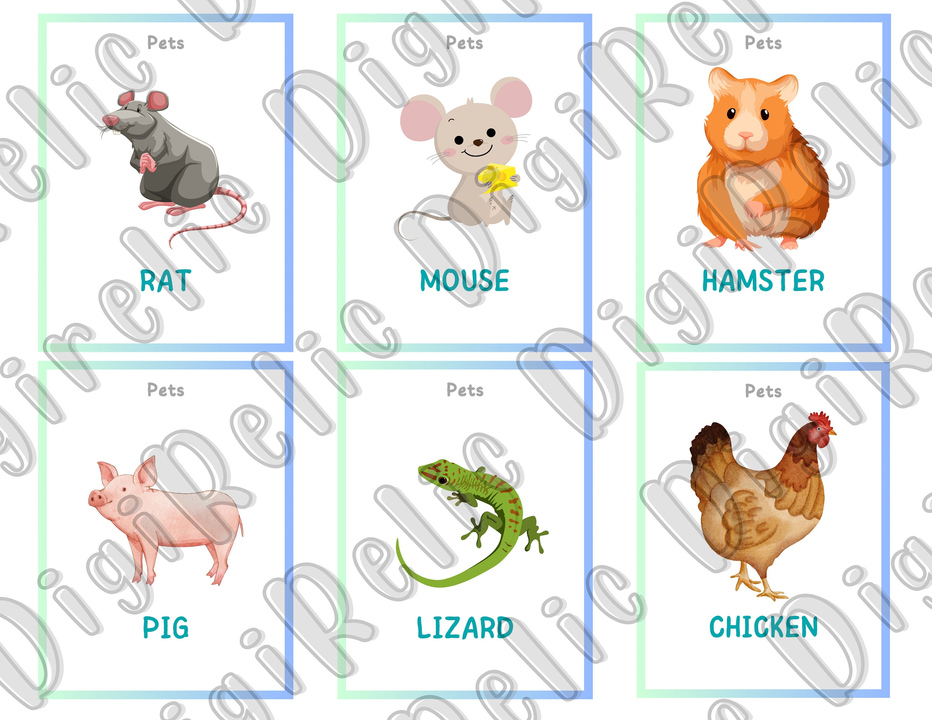 25 Pets Cards, Montessori Flash Cards, Pre-school Cards, Digirelic ...
