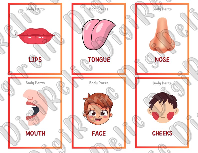 95 Anatomy (body Parts) Cards, Montessori Flash Cards, Pre-school Cards ...