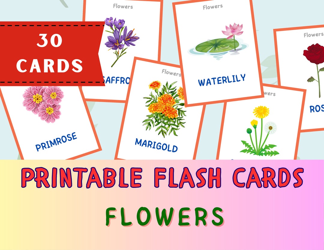 30 Flower Flash Cards Montessori Flash Cards Antonyms - Etsy