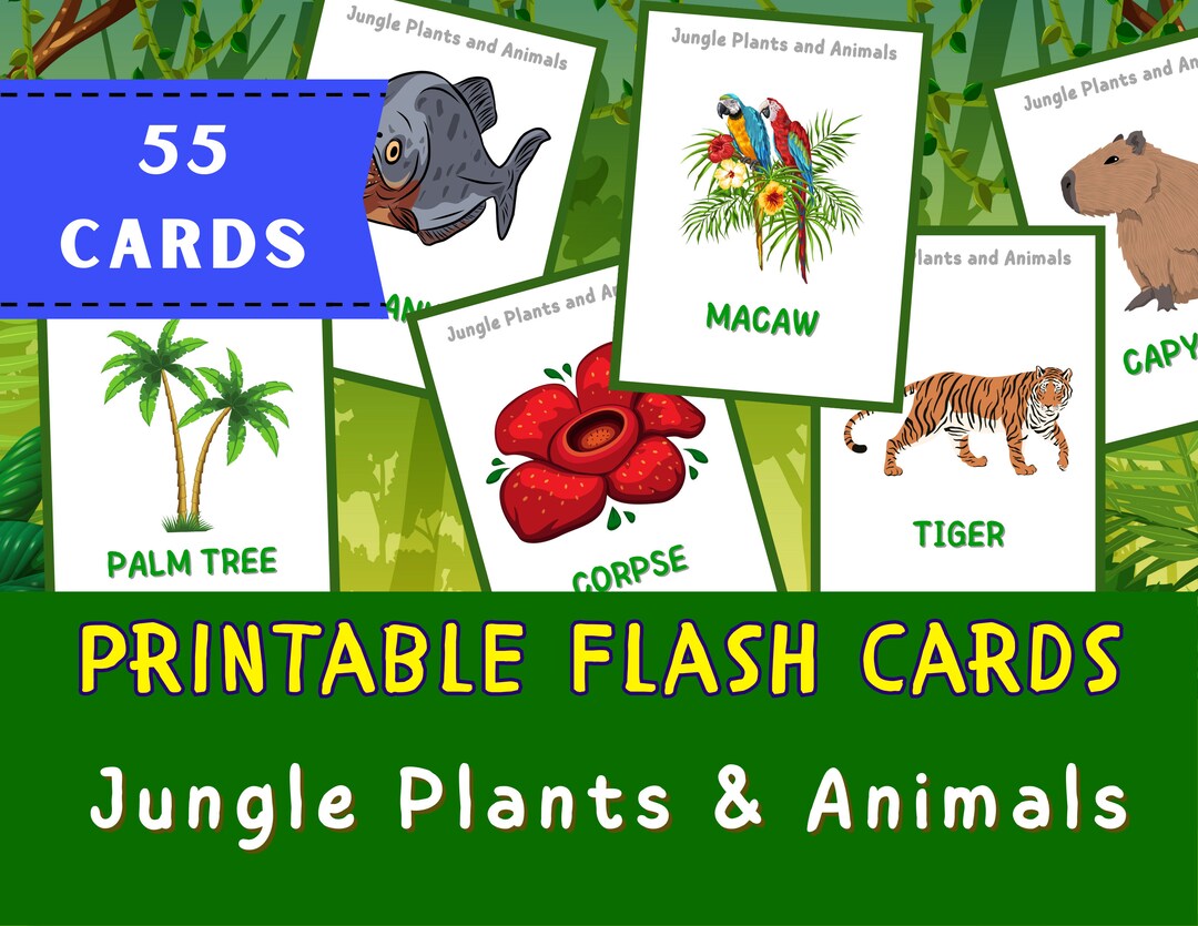 55 Jungle Plants & Animals Cards, Montessori Flash Cards, Pre-school ...