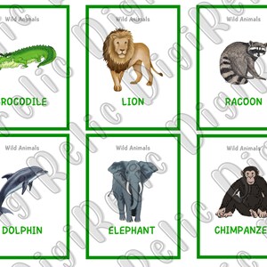 60 Wild Animals Flash Cards, Montessori Flash Cards, Antonyms, School ...
