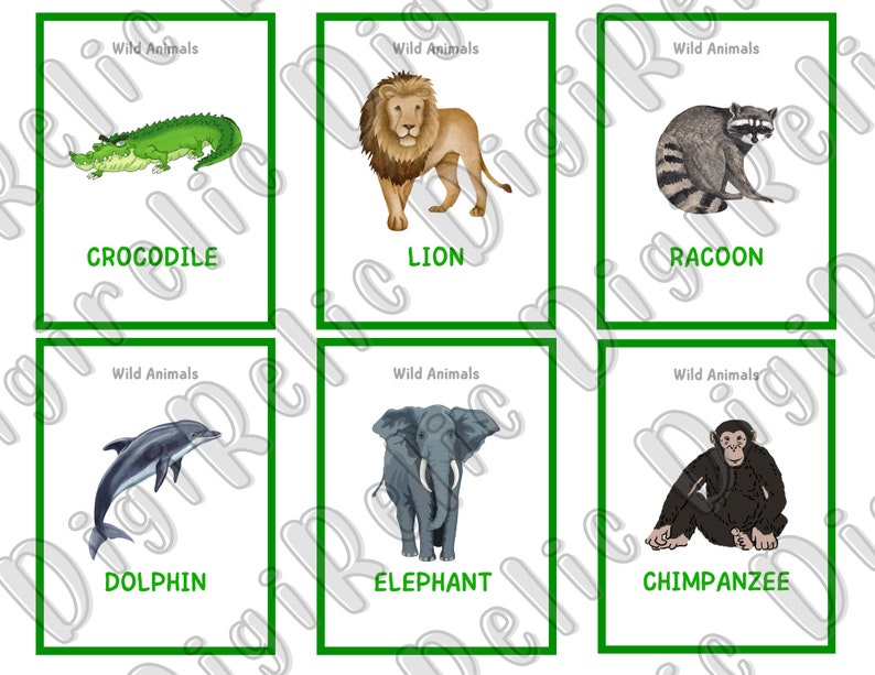 60 Wild Animals Flash Cards, Montessori Flash Cards, Antonyms, School ...