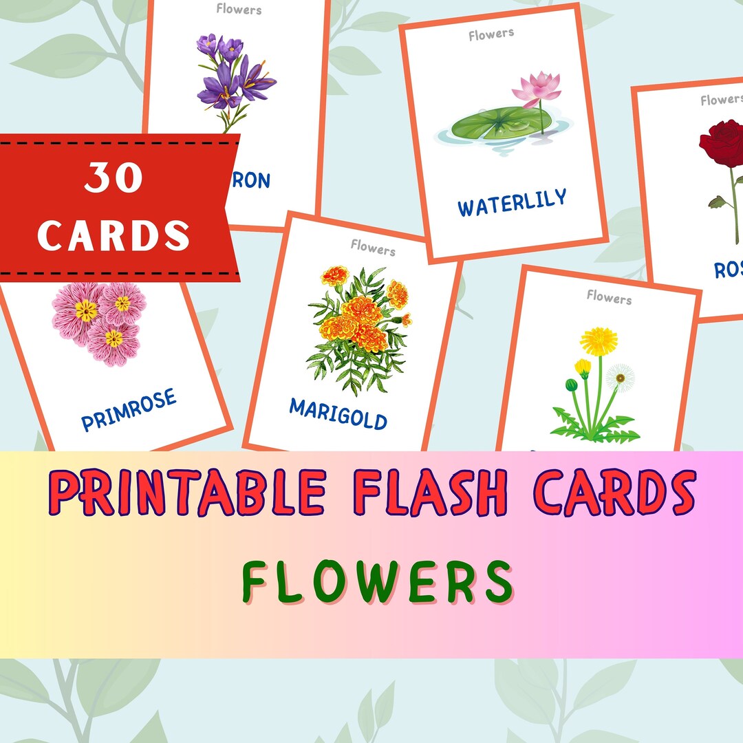 30 Flower Flash Cards, Montessori Flash Cards, Antonyms, School Cards ...