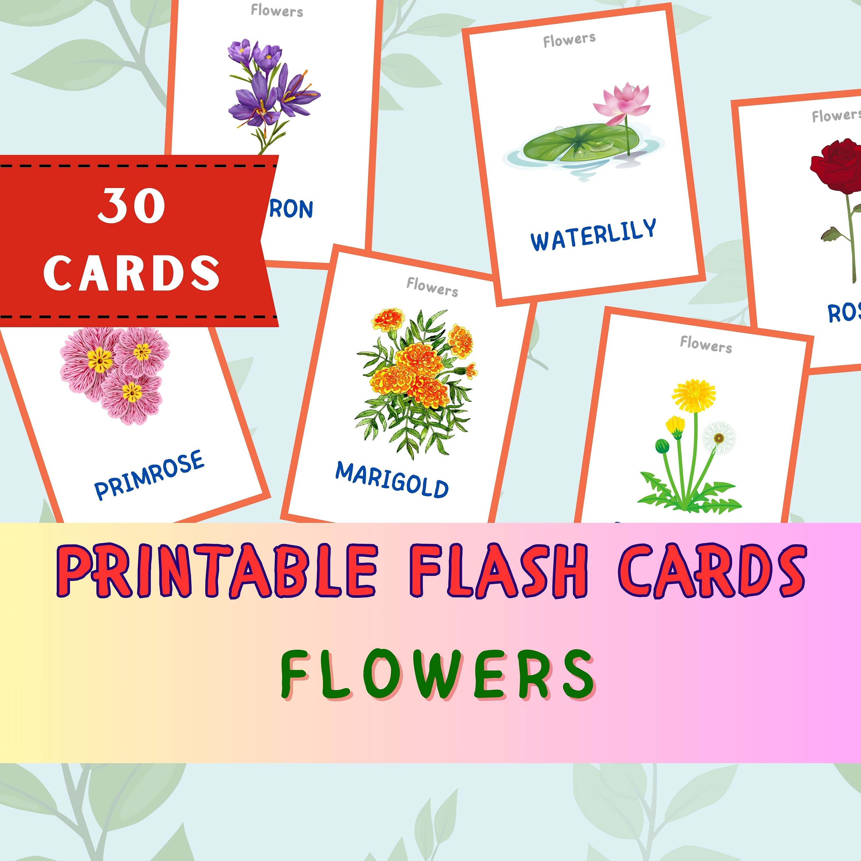 30 Flower Flash Cards, Montessori Flash Cards, Antonyms, School Cards ...