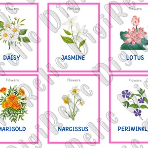 30 Flower Flash Cards, Montessori Flash Cards, Antonyms, School Cards ...