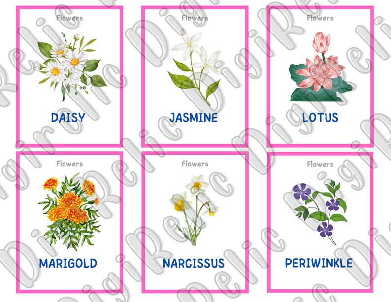 30 Flower Flash Cards, Montessori Flash Cards, Antonyms, School Cards ...