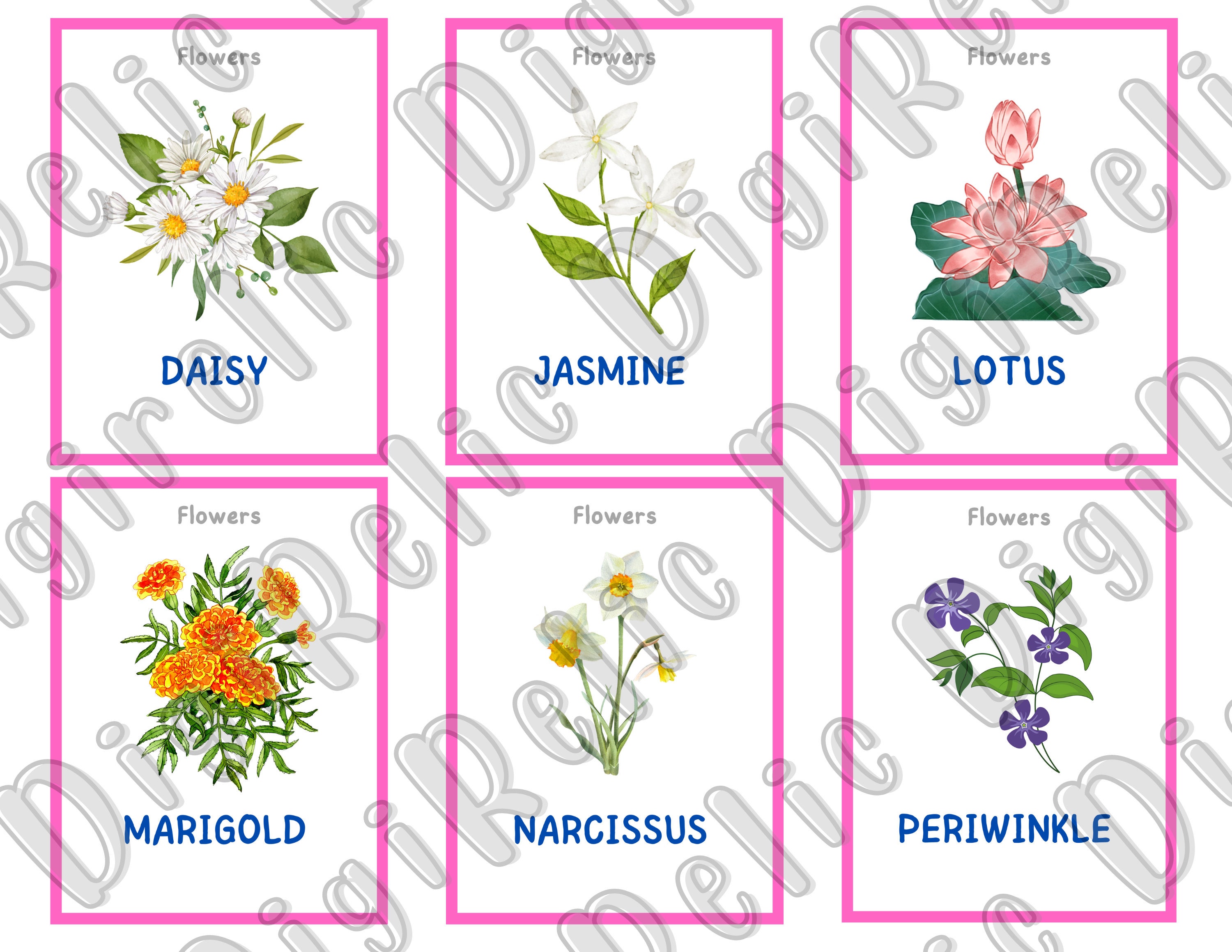 30 Flower Flash Cards, Montessori Flash Cards, Antonyms, School Cards ...