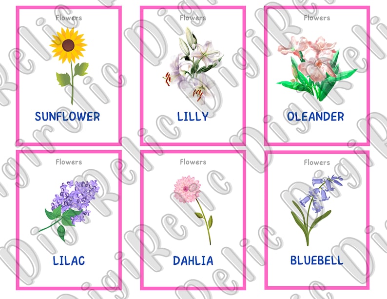 30 Flower Flash Cards, Montessori Flash Cards, Antonyms, School Cards ...