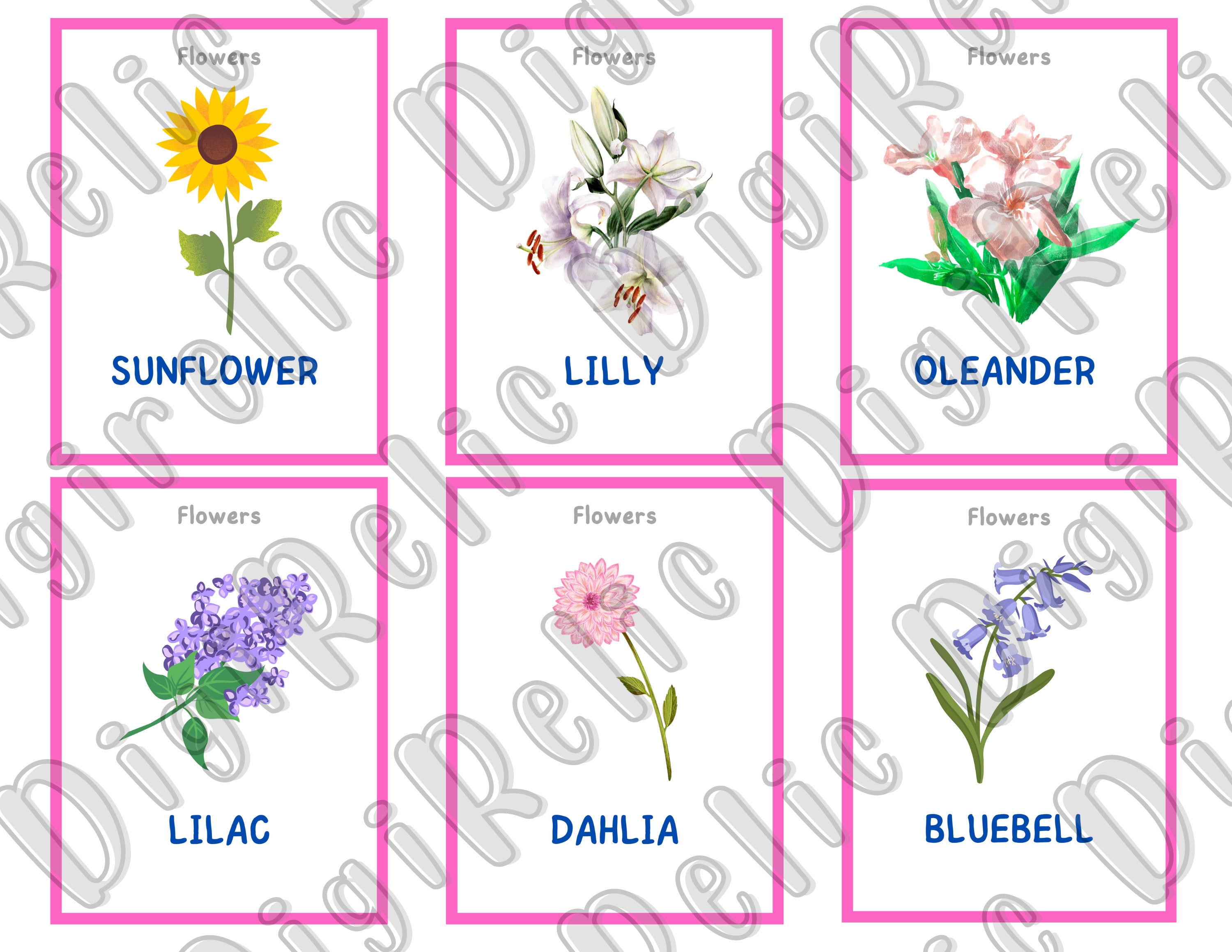 30 Flower Flash Cards, Montessori Flash Cards, Antonyms, School Cards ...
