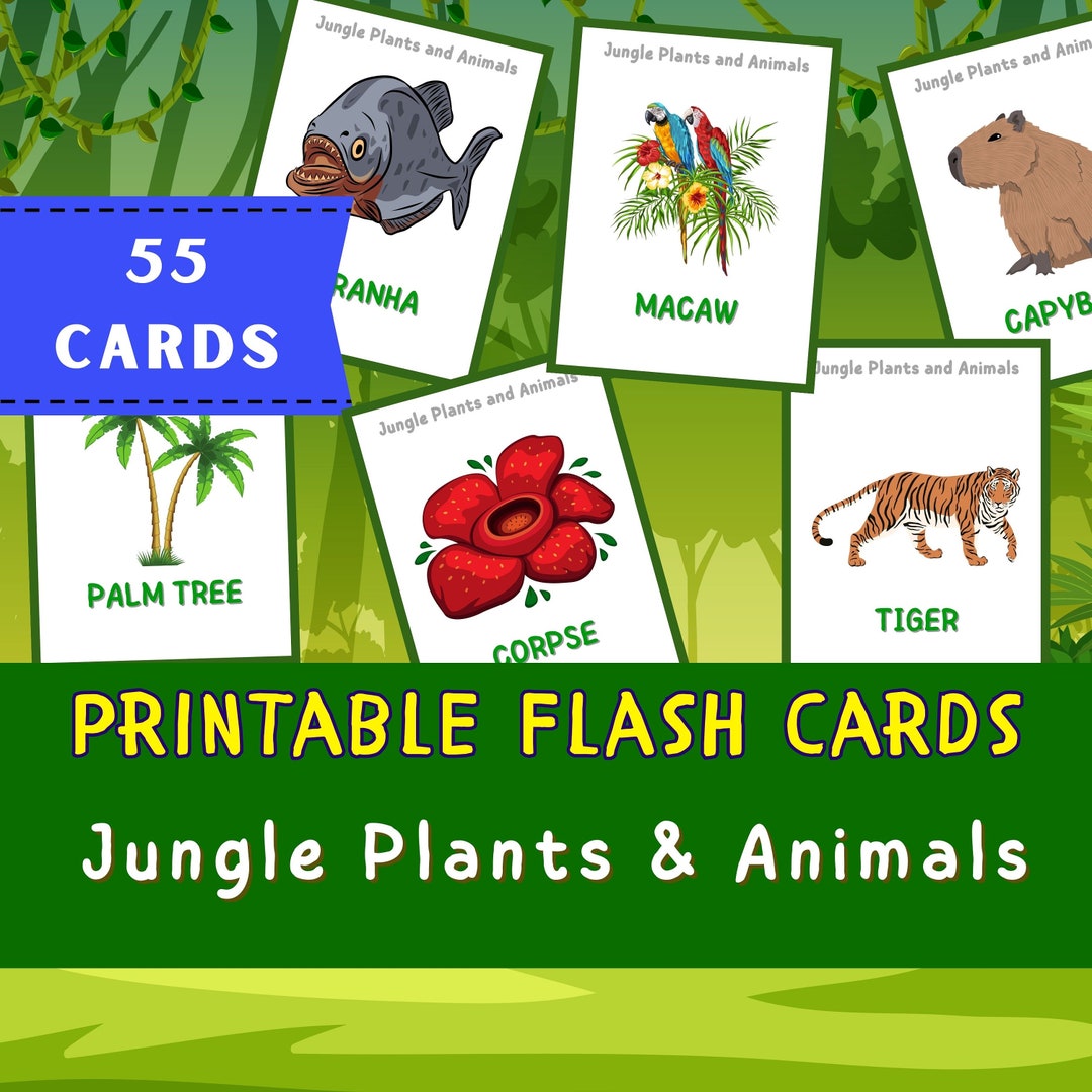 55 Jungle Plants & Animals Cards, Montessori Flash Cards, Pre-school ...