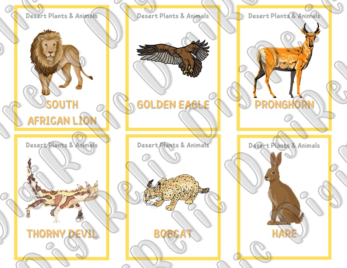 50 Desert Plants and Animals Cards, Montessori Flash Cards, Pre-school ...