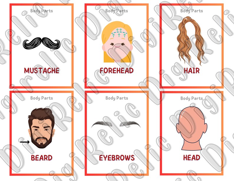 95 Anatomy (body Parts) Cards, Montessori Flash Cards, Pre-school Cards ...