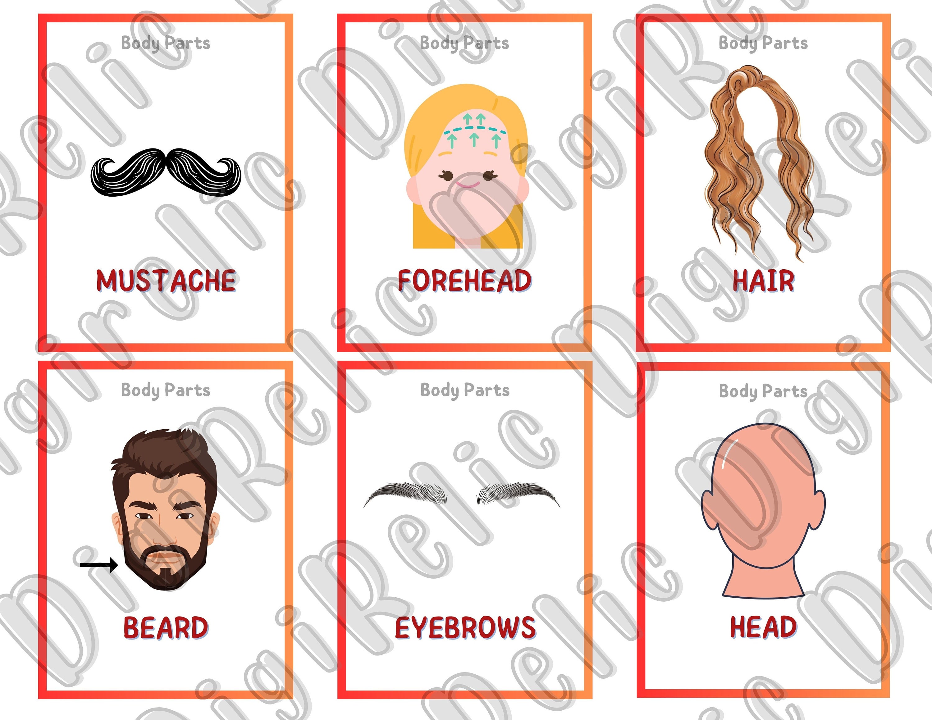 95 Anatomy (body Parts) Cards, Montessori Flash Cards, Pre-school Cards ...