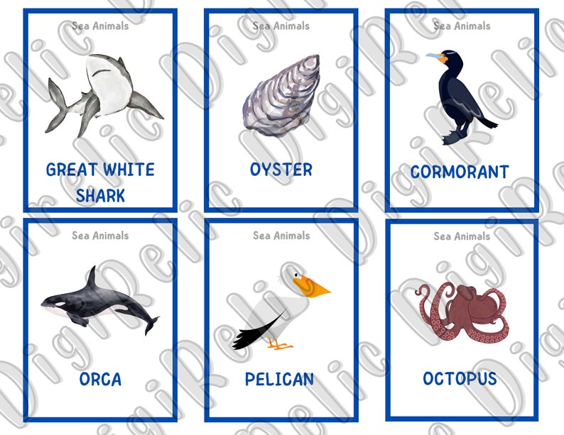 50 Sea Animals Cards, Montessori Flash Cards, Pre-school Cards ...