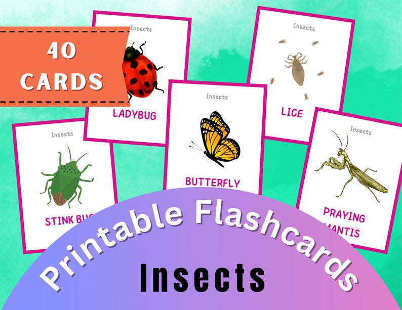 40 Insect Cards Montessori Flash Cards Pre-school Cards - Etsy