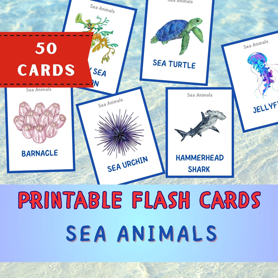 50 Tarjetas de Animales Marinos, Tarjetas Flash Montessori, Tarjetas ...