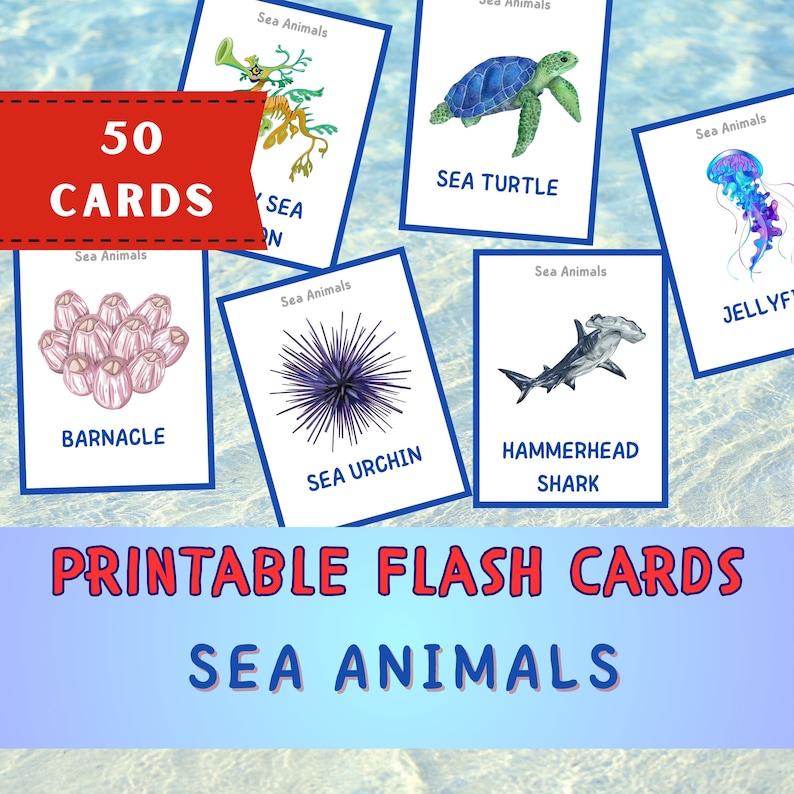 50 Sea Animals Cards, Montessori Flash Cards, Pre-school Cards ...