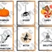 121 Halloween Cards, Montessori Flash Cards, Pre-school Cards ...