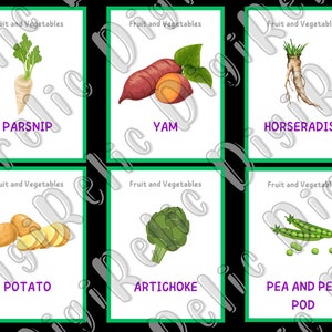 105 Fruit and Vegetables Cards, Montessori Flash Cards, Pre-school ...