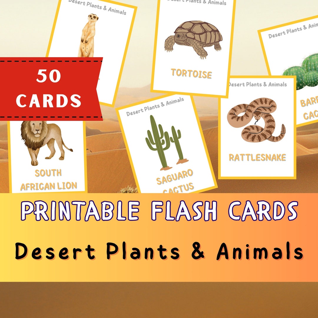 50 Desert Plants and Animals Cards, Montessori Flash Cards, Pre-school ...